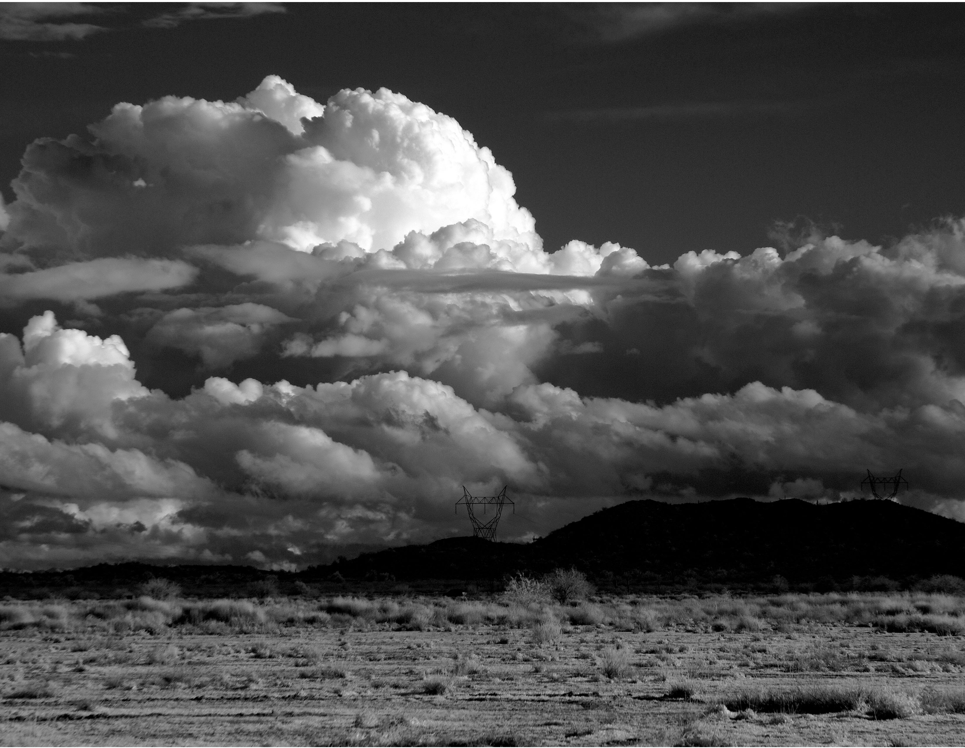 Monsoon Design | Craft Marketing & Design